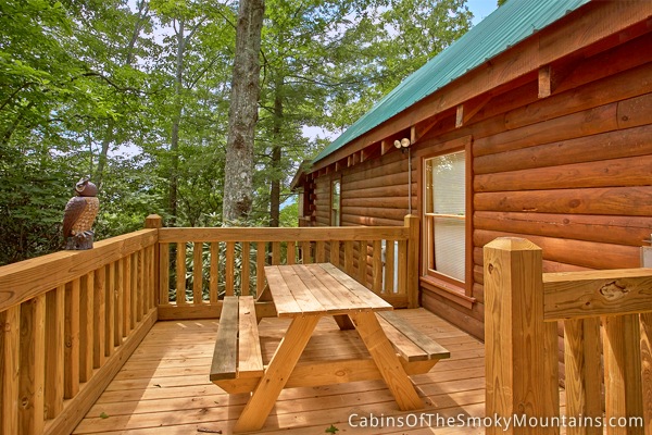 Featured Cabin: Above the Rest