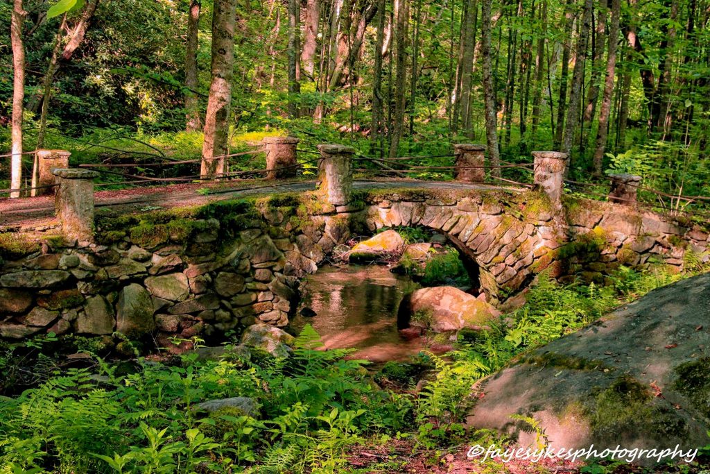 Little River Trail: An Easy Walk in the Smoky Mountains