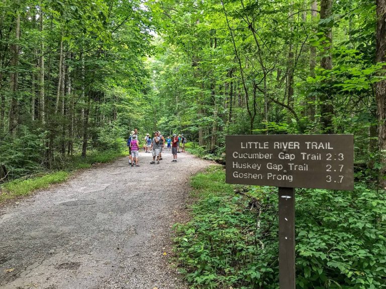 Little River Trail: An Easy Walk in the Smoky Mountains