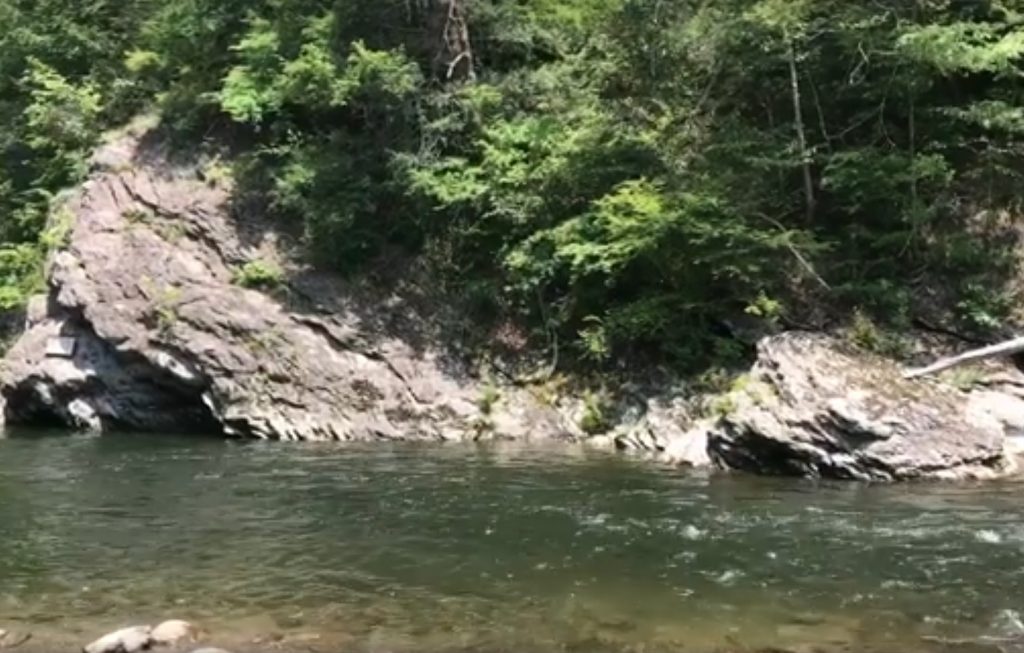 Little River Road: A Scenic Drive of Wonders