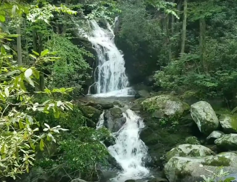 Mouse Creek Falls in Great Smoky Mountains National Park