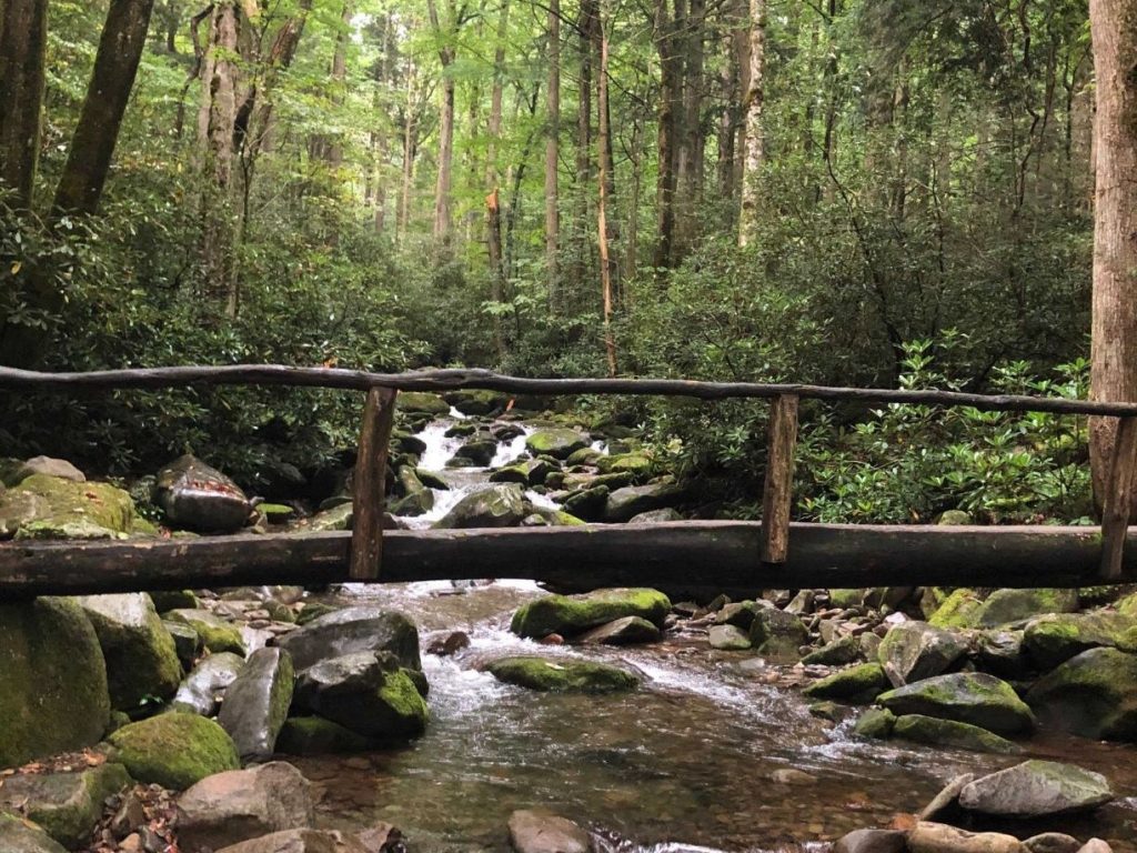 The Cosby Area in Great Smoky Mountains National Park