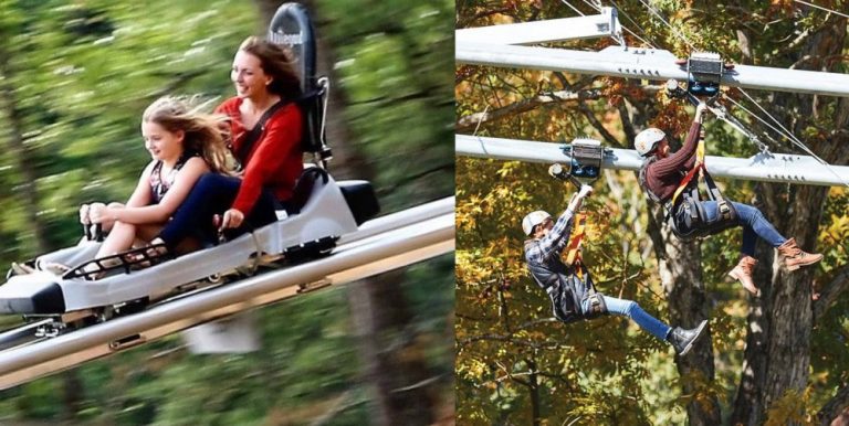 Ripley's Mountain Coaster in Gatlinburg, TN
